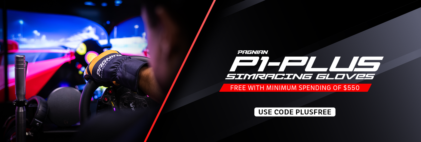 Pagnian Advanced Simulation